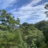 Pages Pinnacle , Queensland, Australia - 1,354 Reviews, Map | AllTrails