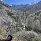 Ladybug Trail, California - 259 Reviews, Map | AllTrails