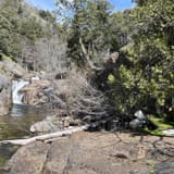 Ladybug Trail, California - 259 Reviews, Map | AllTrails