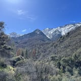Ladybug Trail, California - 259 Reviews, Map | AllTrails