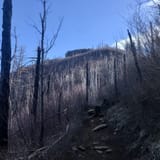 Angels Rest to Devil's Rest Loop Trail, Oregon - 1,242 Reviews, Map ...