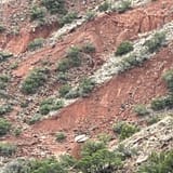 Haynes Ridge and Upper North Prong Trail Loop, Texas - 821 Reviews, Map ...