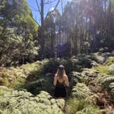 Mount Disappointment Summit Loop, Victoria, Australia - 115 Reviews ...