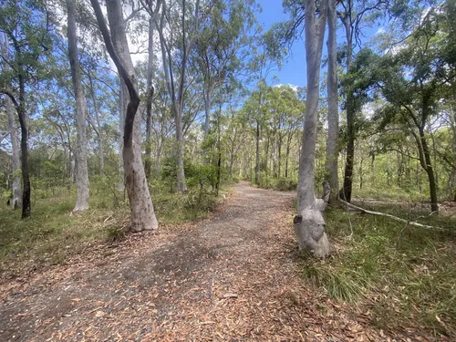 Best Hikes and Trails in Tingalpa Creek Reserve | AllTrails
