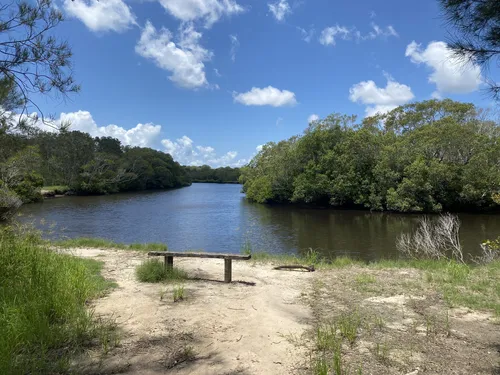 Best Hikes and Trails in Tingalpa Creek Reserve | AllTrails