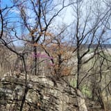 Elk River Hiking Trail, Kansas - 704 Reviews, Map | AllTrails