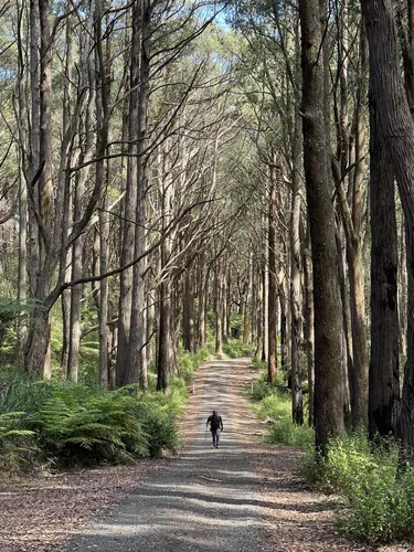 Best Hikes and Trails in Three Bridges | AllTrails