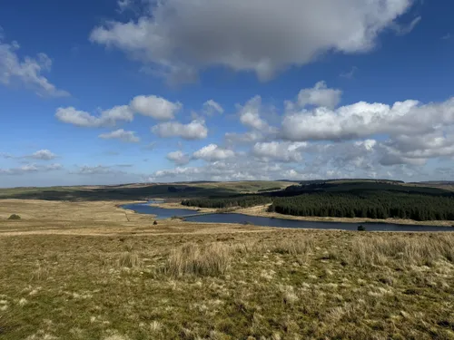Best Hikes and Trails in Hafod Elwy National Nature Reserve | AllTrails