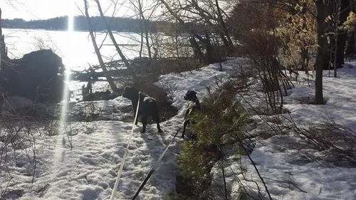 Best Hikes and Trails in Dover | AllTrails