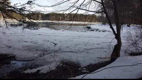 Best Hikes and Trails in Bellamy River Wildlife Mgt. Area | AllTrails