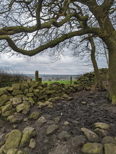 Best Hikes and Trails in Shipley Country Park | AllTrails
