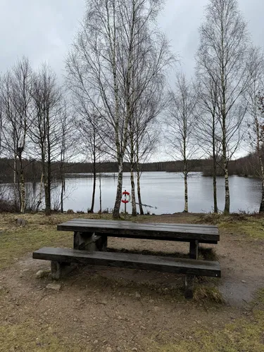 Best Lake Trails in Fulltofta naturreservat | AllTrails
