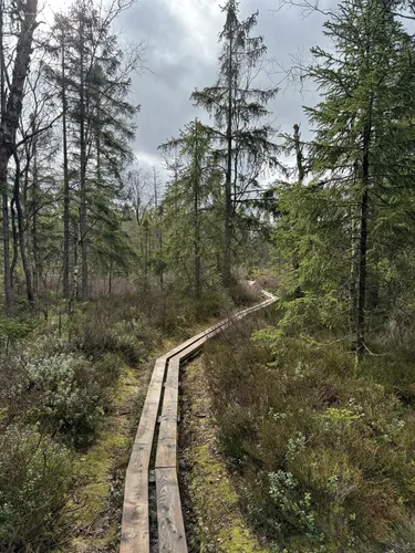 Best Lake Trails in Fulltofta naturreservat | AllTrails
