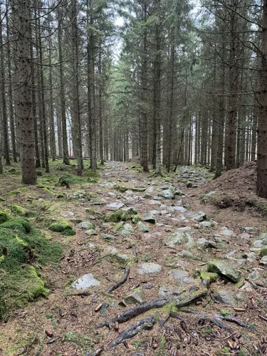 Best Lake Trails in Fulltofta naturreservat | AllTrails