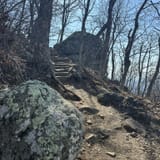 Sharp Top Trail, Virginia - 2,714 Reviews, Map | AllTrails