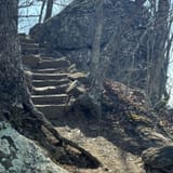Sharp Top Trail, Virginia - 2,763 Reviews, Map | AllTrails