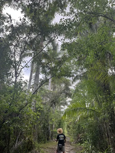 Best Hikes and Trails in Fakahatchee Strand Preserve State Park | AllTrails