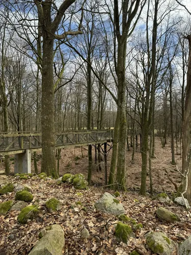 Best Hikes and Trails in Fulltofta naturreservat | AllTrails