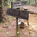 Chestnut Top Trail, Tennessee - 492 Reviews, Map | AllTrails
