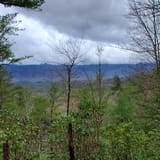 Chestnut Top Trail, Tennessee - 492 Reviews, Map | AllTrails