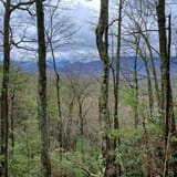 Chestnut Top Trail, Tennessee - 492 Reviews, Map | AllTrails