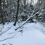 Johnson River Falls Trail, Nova Scotia, Canada - 737 Reviews, Map ...