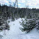 Johnson River Falls Trail, Nova Scotia, Canada - 737 Reviews, Map ...