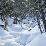 Johnson River Falls Trail, Nova Scotia, Canada - 737 Reviews, Map ...