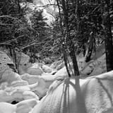 Johnson River Falls Trail, Nova Scotia, Canada - 737 Reviews, Map ...