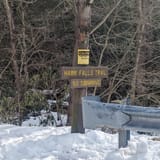 Hawk Falls Trail, Pennsylvania - 2,776 Reviews, Map | AllTrails
