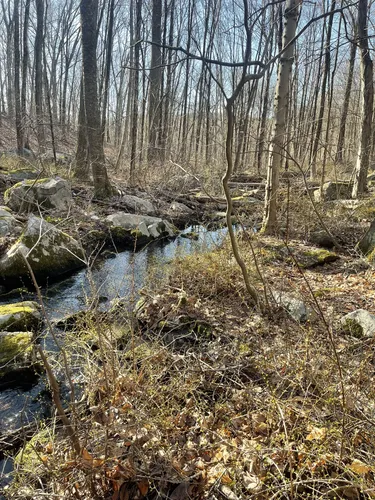 Best Horseback Riding Trails in Kent Cliffs | AllTrails