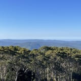 Mount Victoria Track, Victoria, Australia - 287 Reviews, Map | AllTrails
