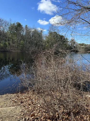 Best Hikes and Trails in Bridgewater | AllTrails
