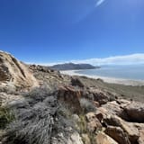 Buffalo Point Trail, Utah - 1,089 Reviews, Map | AllTrails