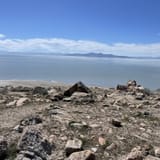 Buffalo Point Trail, Utah - 1,099 Reviews, Map | AllTrails