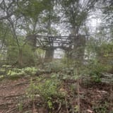 Stringers Ridge via Blue Trail, Tennessee - 2,008 Reviews, Map | AllTrails