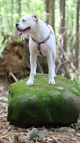 Best Hikes and Trails in Racebrook Tract | AllTrails