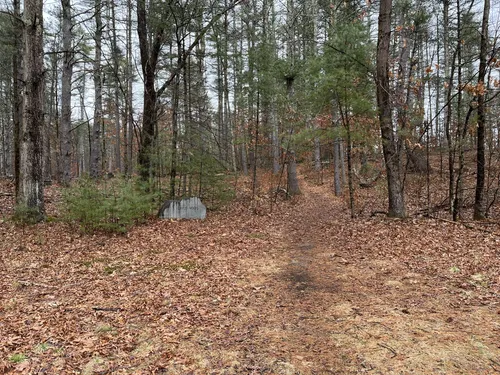 Best Horseback Riding Trails in Groton | AllTrails