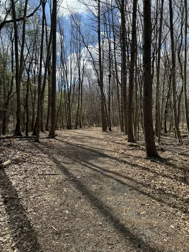 Best Hikes and Trails in Racebrook Tract | AllTrails