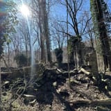 Alberton Road Trail, Maryland - 1,366 Reviews, Map | AllTrails