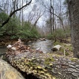 Pine Log Creek Trail, Georgia - 2,429 Reviews, Map | AllTrails