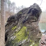 Pine Log Creek Trail, Georgia - 2,429 Reviews, Map | AllTrails