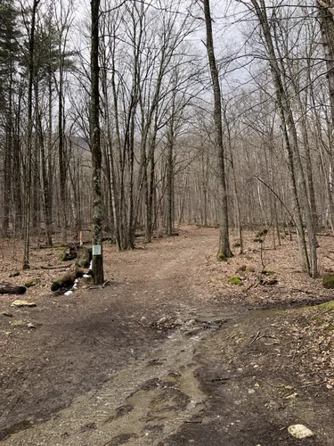 Best Hikes and Trails in Manchester | AllTrails