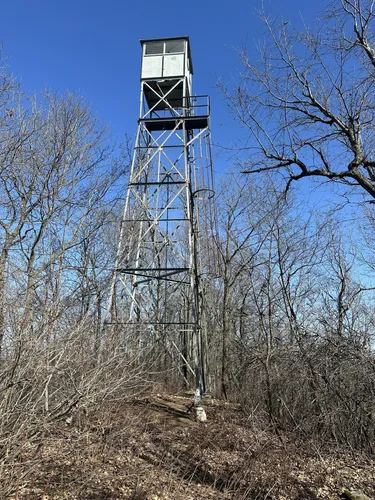 Best hikes and trails in City Point | AllTrails