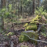 Arcadia Trail Loop, Rhode Island - 279 Reviews, Map | AllTrails