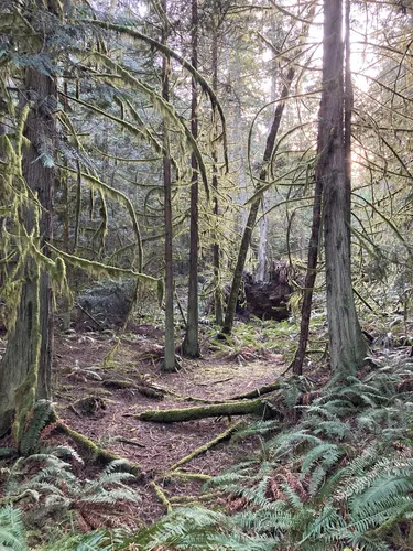 Best Hikes and Trails in Fort Townsend Historic State Park | AllTrails
