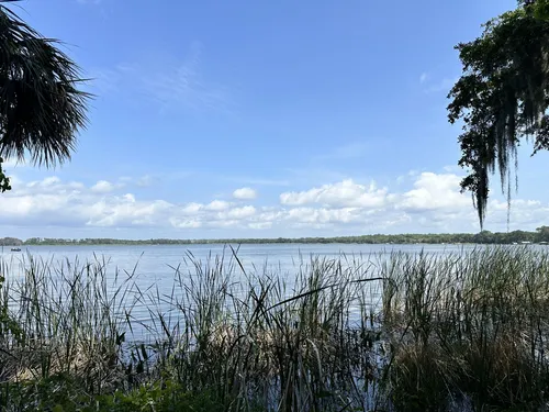 Best Lake Trails in Mount Dora | AllTrails