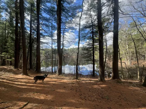 Best Hikes and Trails in Old Rifle Range | AllTrails