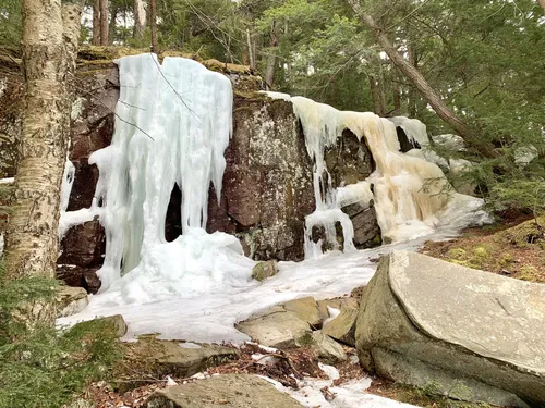 Best Views Trails in Limberlost Forest and Wildlife Reserve | AllTrails