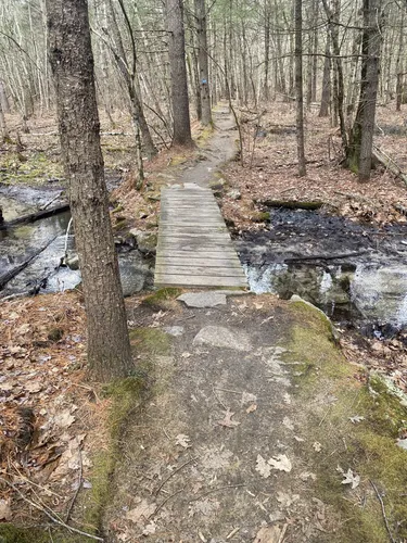 Best Hikes and Trails in Benson Park | AllTrails